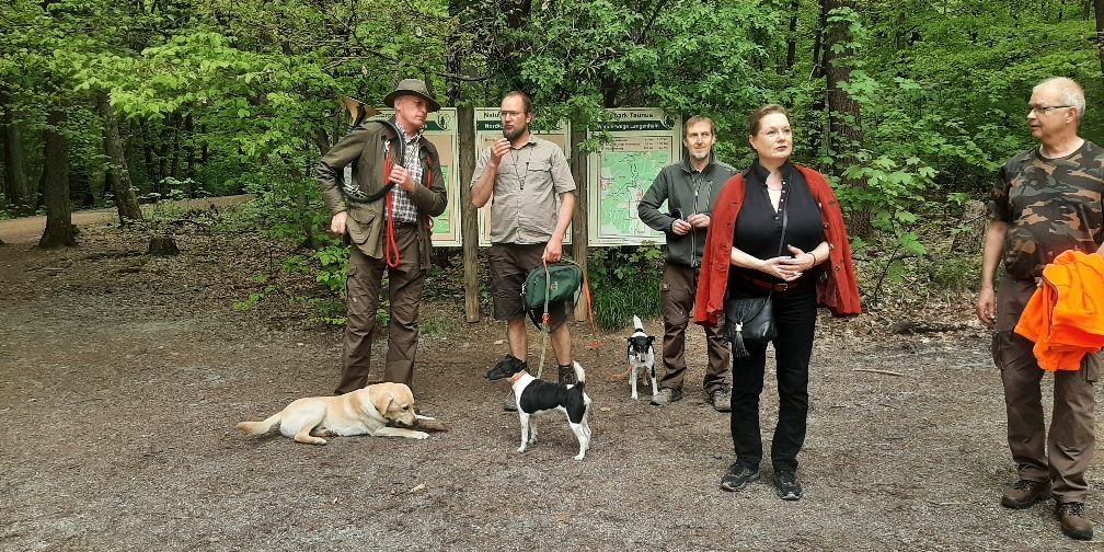 Freie Demokraten folgten dem Ruf des Waldes | FDP Hofheim